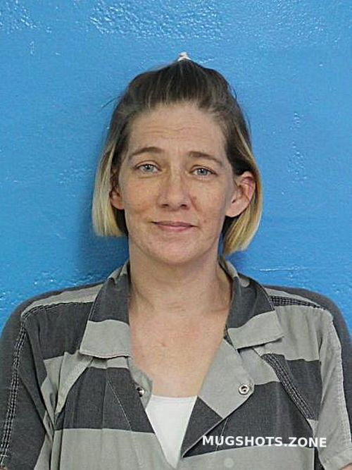 WHITE BRANDIE LEA NICOLE 03/19/2025 - Sullivan County Mugshots Zone