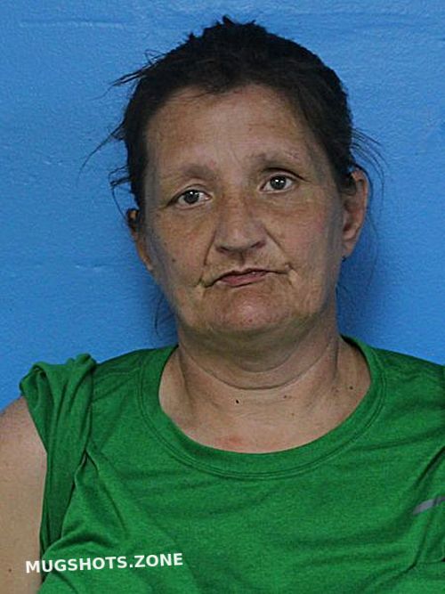 WHITE CHRISTIE SUZANNE 04/04/2025 - Sullivan County Mugshots Zone