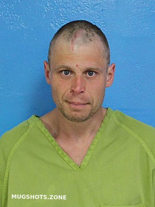 DAVIDSON TYLER GLENN 04/05/2025 - Sullivan County Mugshots Zone