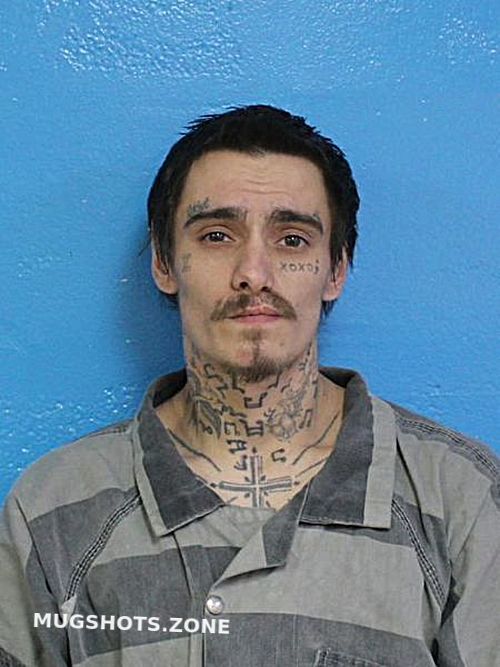 HOLT RENO JACK 04/05/2025 - Sullivan County Mugshots Zone