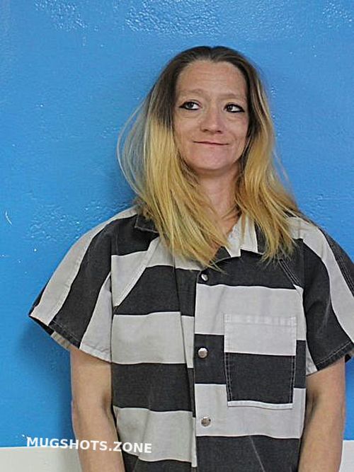 POWERS SONYA LOU 04/19/2025 - Sullivan County Mugshots Zone
