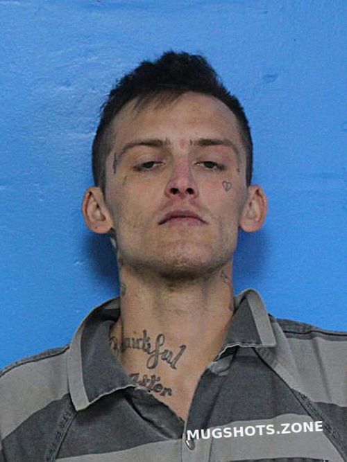 REED CHRISTOPHER THOMAS 04/23/2025 - Sullivan County Mugshots Zone