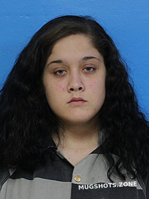 ODUM APRIL MICHELLE 04/23/2025 - Sullivan County Mugshots Zone