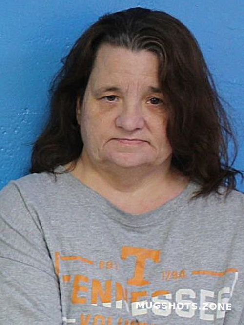 Kohan Stacey Ann 05 03 2025 Sullivan County Mugshots Zone
