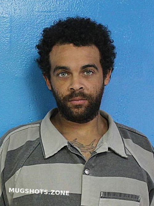 HARVEY TERRANCE RAY 05/06/2025 - Sullivan County Mugshots Zone