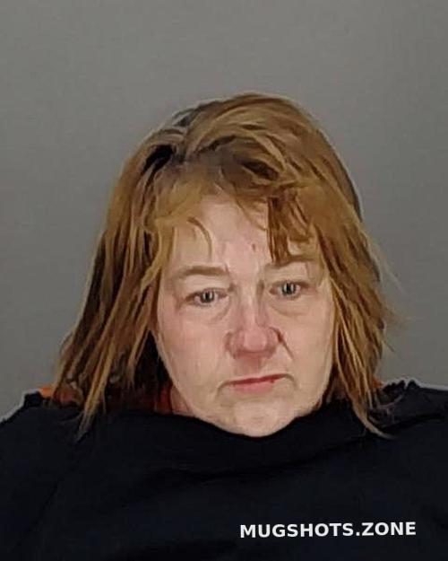 COON STACY ANNE 02/13/2023 - Summit County Mugshots Zone