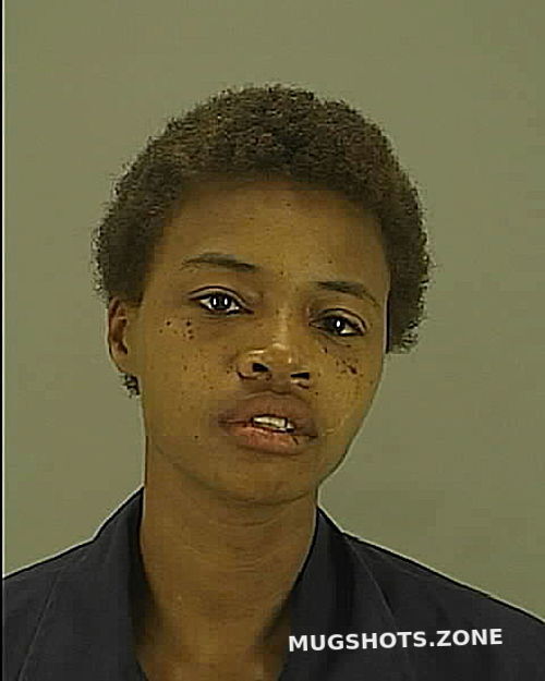 WALKER ROBYN NICHOLE 03/26/2023 - Summit County Mugshots Zone