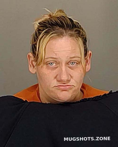HUTCHINS JESSICA ASHLEY 03/29/2023 - Summit County Mugshots Zone