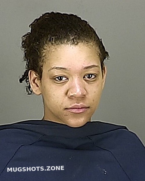 DEEM ASHLEY NICOLE 04/05/2023 - Summit County Mugshots Zone