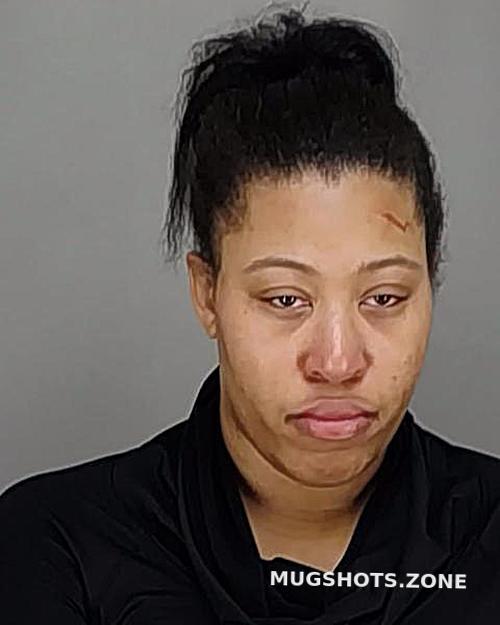 MCCOY DANAIZNA 04/11/2023 - Summit County Mugshots Zone