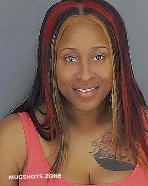 AUSTIN ESSENCE TERRELL 04/19/2023 - Summit County Mugshots Zone