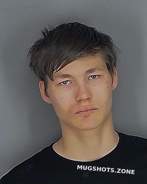 FULTON-SHUFF CHARLES LEE 04/19/2023 - Summit County Mugshots Zone