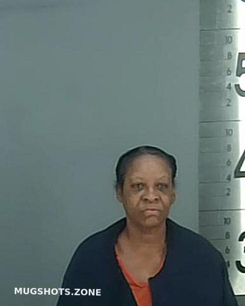 COLLINS MARY LOUISE 05/03/2023 - Summit County Mugshots Zone