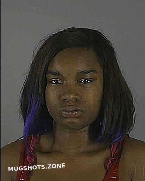 WELLS BRITTANY MARIE 05/26/2023 - Summit County Mugshots Zone
