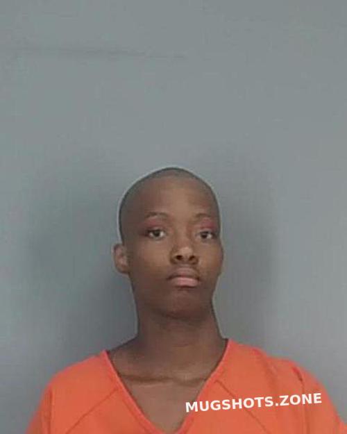 DAVIS TALITHA MARIE 08/20/2023 - Summit County Mugshots Zone