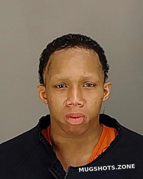 BARNES NOAH ANTHONY TYRELL 09/01/2023 - Summit County Mugshots Zone