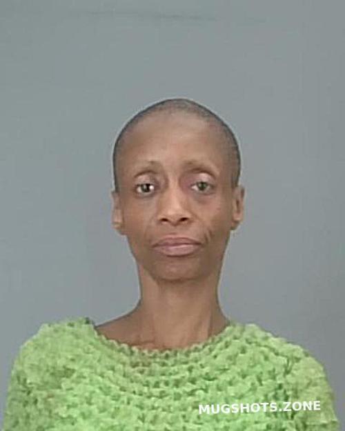 JOHNSON ANTAYA LINETTE 09/27/2023 - Summit County Mugshots Zone