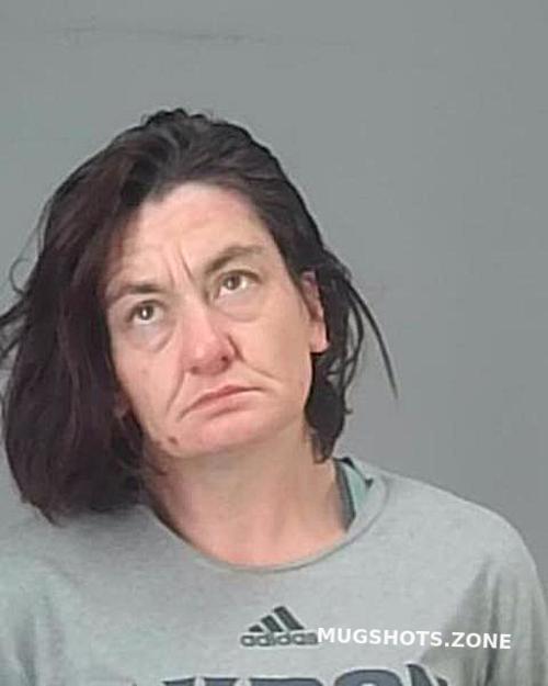 COOK LISA ANN 10/26/2023 - Summit County Mugshots Zone