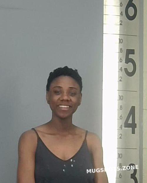 SMITH NAUDIA AYEISHA 02/03/2024 - Summit County Mugshots Zone