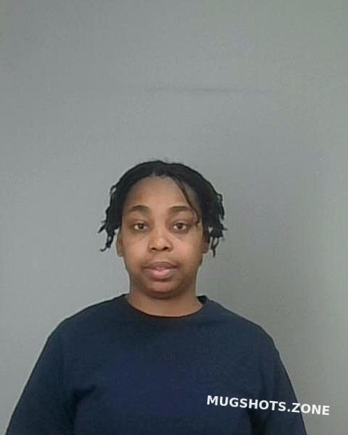 Lykes Serenity Gabrelle 02 06 2024 Summit County Mugshots Zone