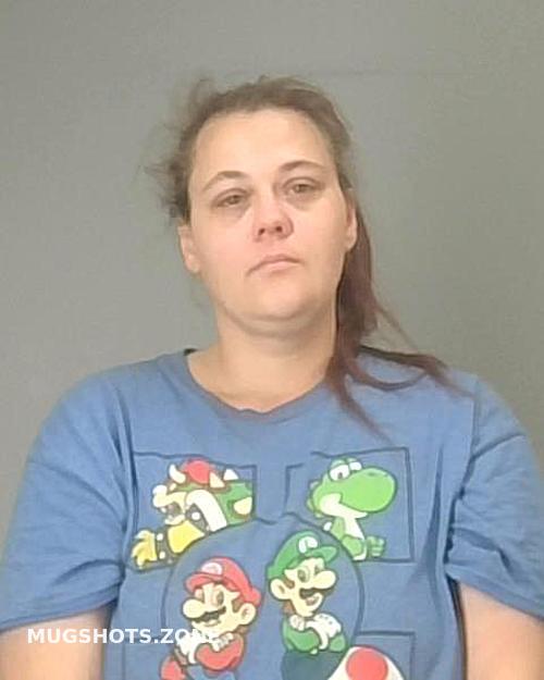 WELLMAN TAMERA 02/12/2024 - Summit County Mugshots Zone