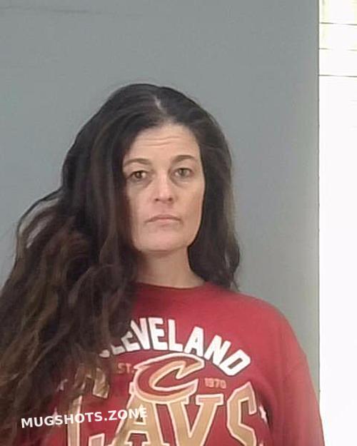 ALSIP AUTUMN GAYLE 02/14/2024 - Summit County Mugshots Zone