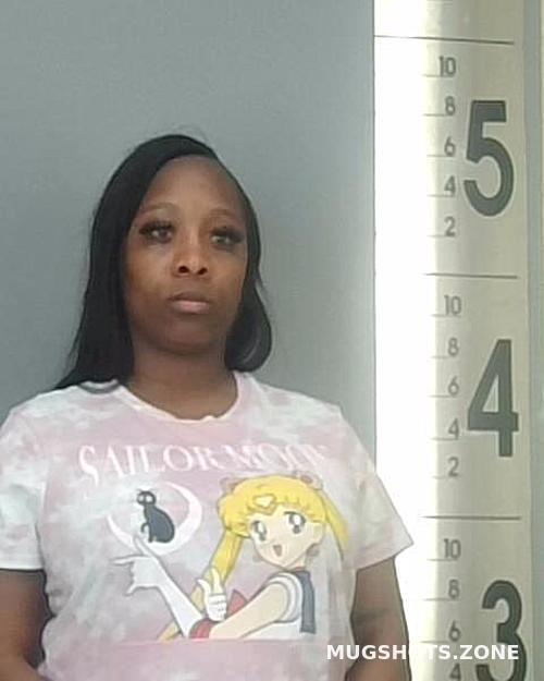 BINGHAM SHANAE DENISE 02/16/2024 - Summit County Mugshots Zone