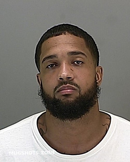 ROPER DARRNELL LYNN 02/17/2024 - Summit County Mugshots Zone