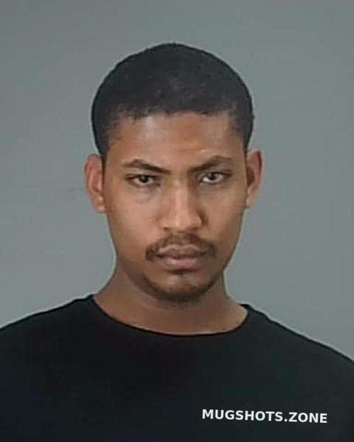 PATE-CRUZ DAVID NICO 02/21/2024 - Summit County Mugshots Zone