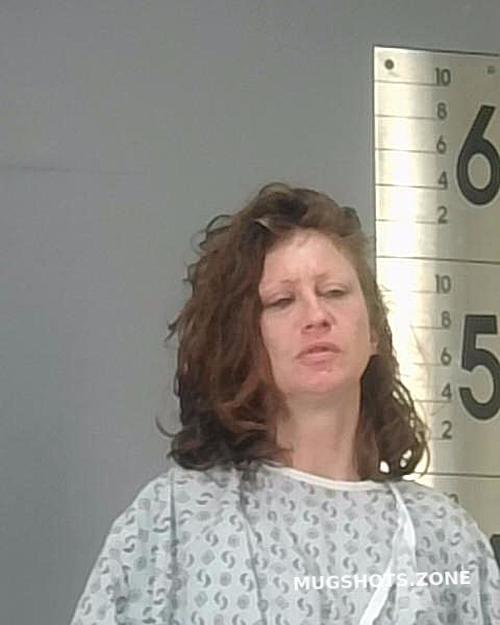 VITON COLLEEN MARIE 02/24/2024 - Summit County Mugshots Zone