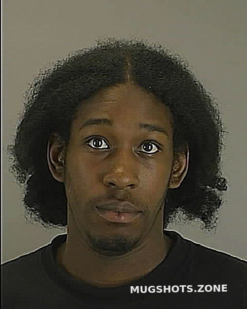 PERDUE ANDRE DEMAR 02/24/2024 - Summit County Mugshots Zone