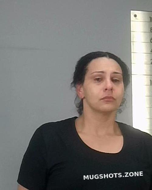 WHEELER DEANNA SHANTEL 02/25/2024 - Summit County Mugshots Zone