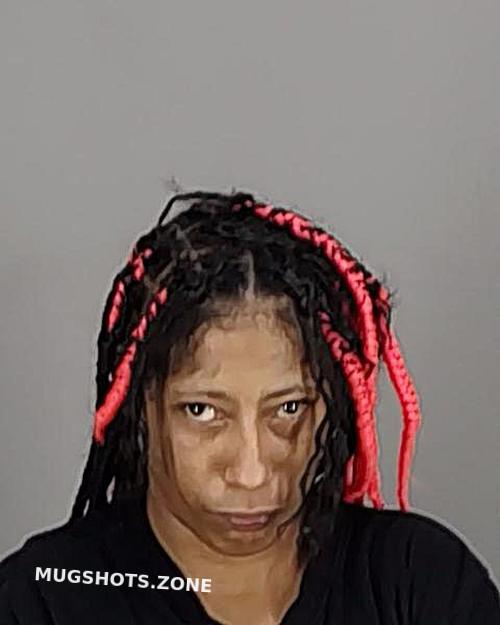 MITCHELL TIFFANY MARIE 02/27/2024 - Summit County Mugshots Zone