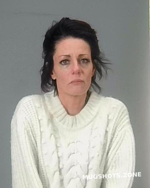 DAMRON HALLE ALLISON 02/28/2024 - Summit County Mugshots Zone