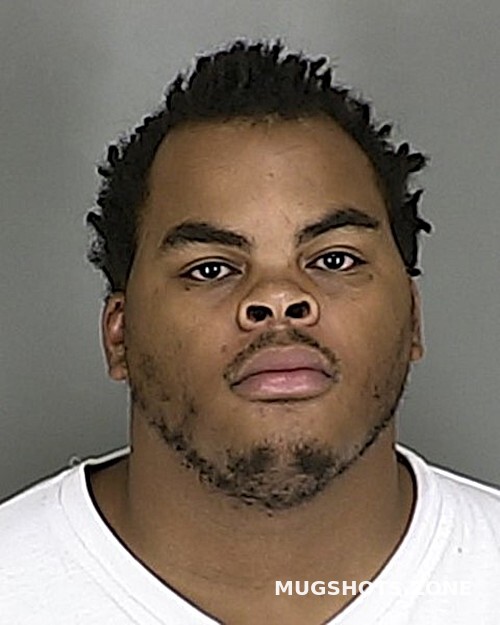 TELL GUSTIN CHARLES 03/14/2024 - Summit County Mugshots Zone