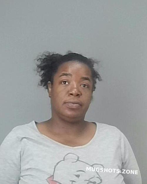 BROWN CANDY NICHOLE 03/16/2024 - Summit County Mugshots Zone