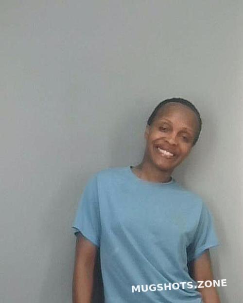 JOHNSON SHATORA LANAE 04/03/2024 - Summit County Mugshots Zone
