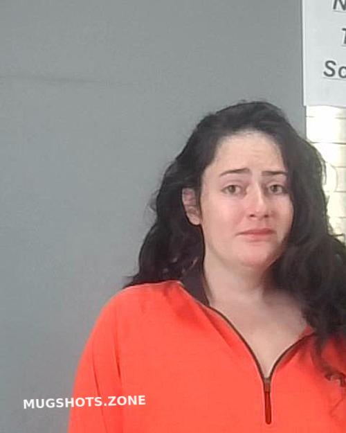 DENNIS HAILEY NOELL 04/05/2024 - Summit County Mugshots Zone DENNIS HAILEY NOELL 04/05/2024 - Summit County Mugshots Zone