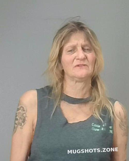 RAFFERTY-SNYDER MICHELLE YVETTE 04/09/2024 - Summit County Mugshots Zone