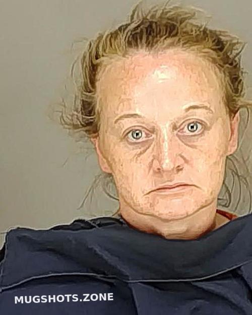 DRAKULICH RHONDA LYNN 04/18/2024 - Summit County Mugshots Zone