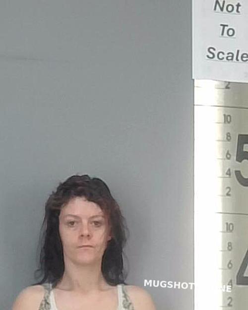 BUSCH CHRISTEN RENEE 04/19/2024 - Summit County Mugshots Zone