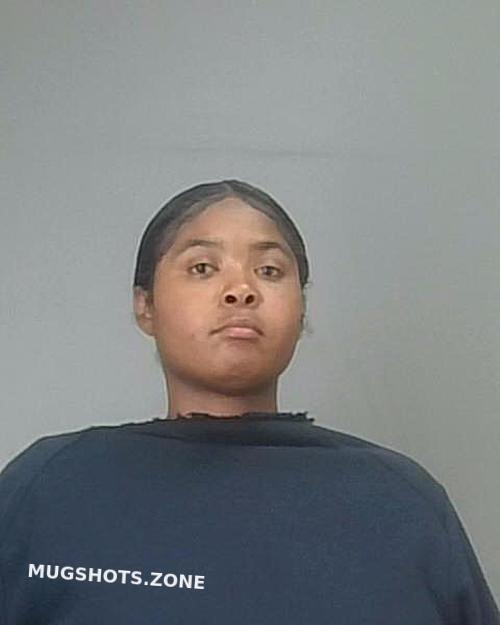 ROSS DEONA LEE 04/27/2024 - Summit County Mugshots Zone