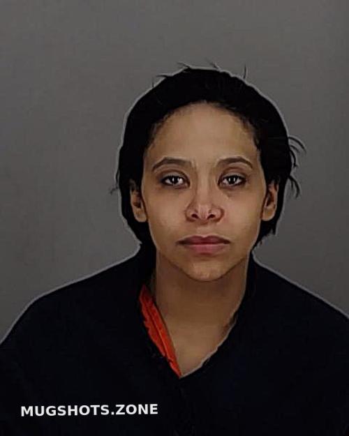 DENMARK NICHOLLE JOLEEN 05/05/2024 - Summit County Mugshots Zone