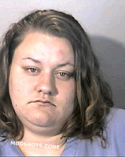 ADKINS CHRISTINE RENEE 05/23/2024 - Summit County Mugshots Zone