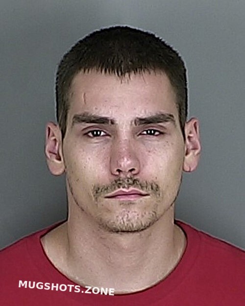 SWIGER RYAN MICHAEL 06/17/2024 - Summit County Mugshots Zone
