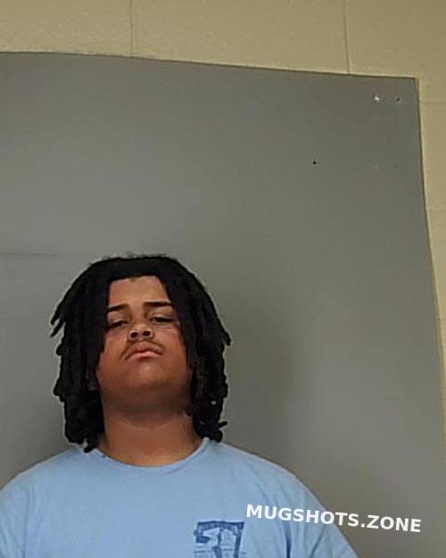 VINSON ISAIAH LAWRENCE 07/02/2024 - Summit County Mugshots Zone