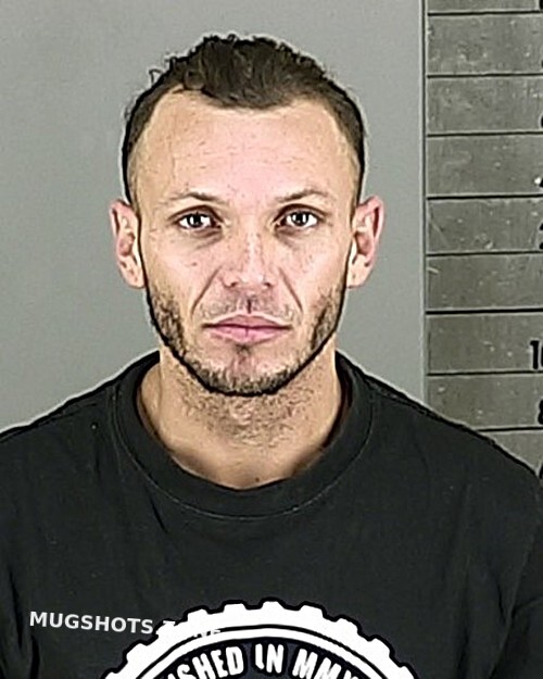 VALLES CARLOS JONATAN 07/10/2024 - Summit County Mugshots Zone
