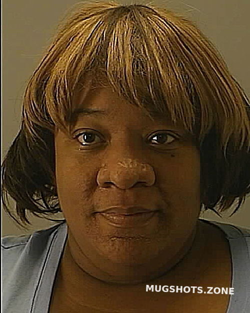 SIMS NIKELLE SHEREE 07/22/2024 - Summit County Mugshots Zone