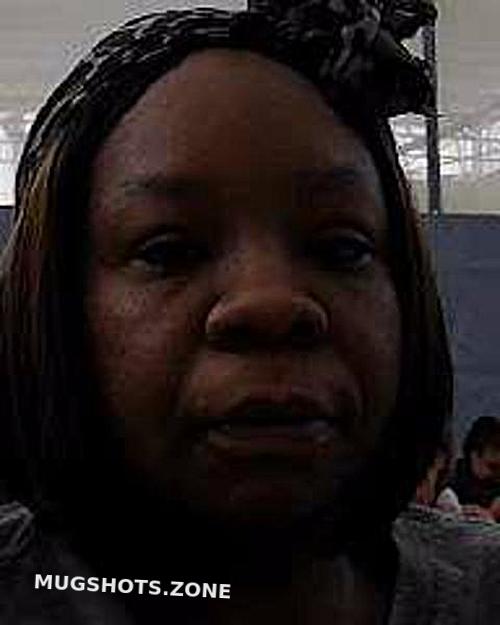 KNOX NIKITA MICHELLE 08/09/2024 - Summit County Mugshots Zone