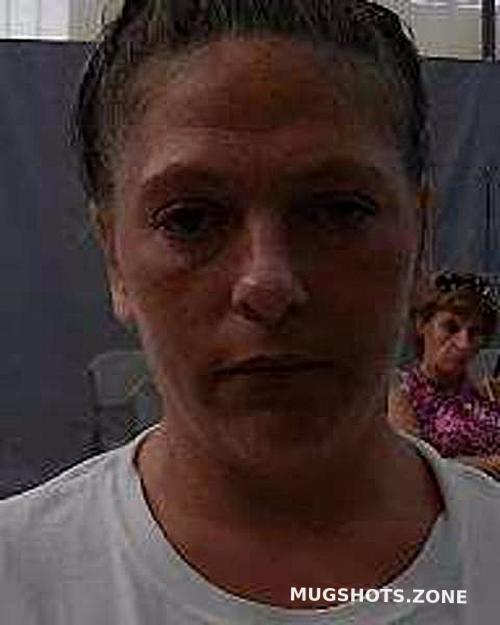 LIPOVSKY ANGELA VICTORIA 08/09/2024 - Summit County Mugshots Zone